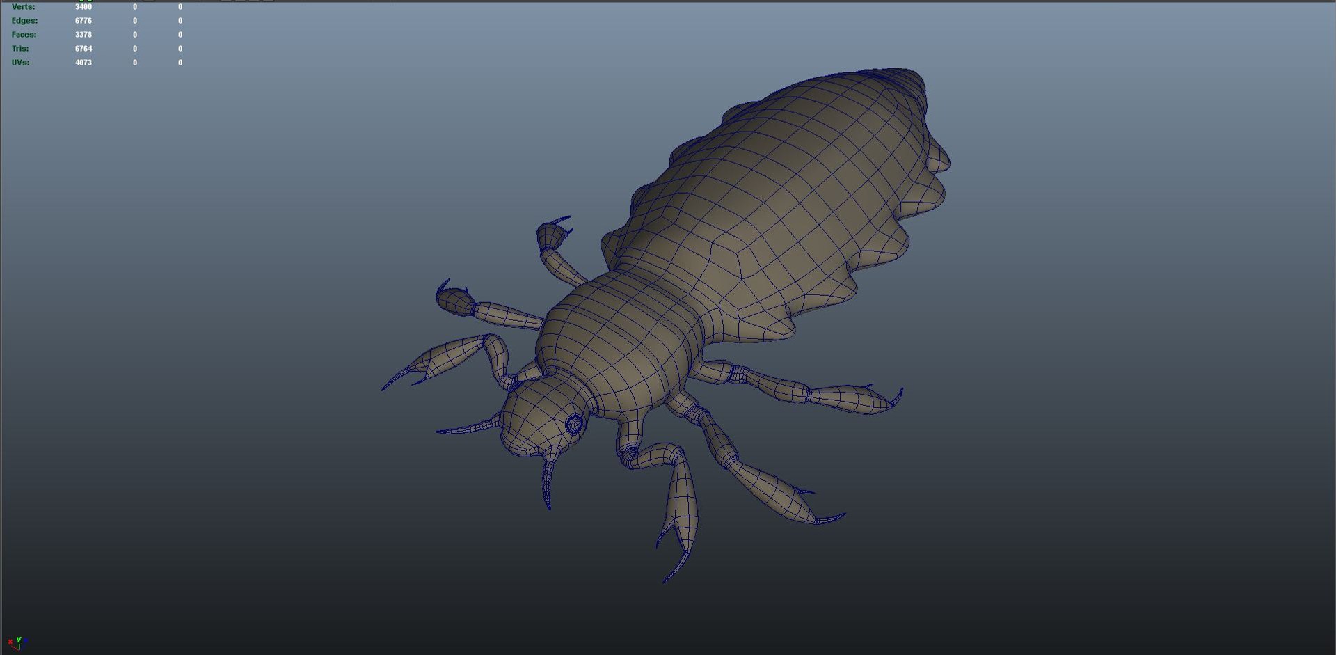 pediculus louse infects 3d model