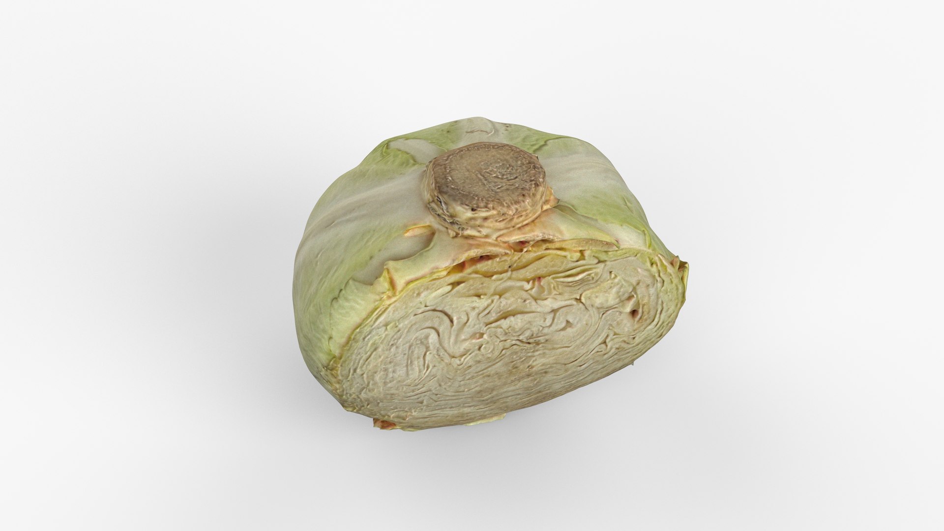 3D Model Photorealistic 3D Scan Of Half A White Cabbage - TurboSquid ...