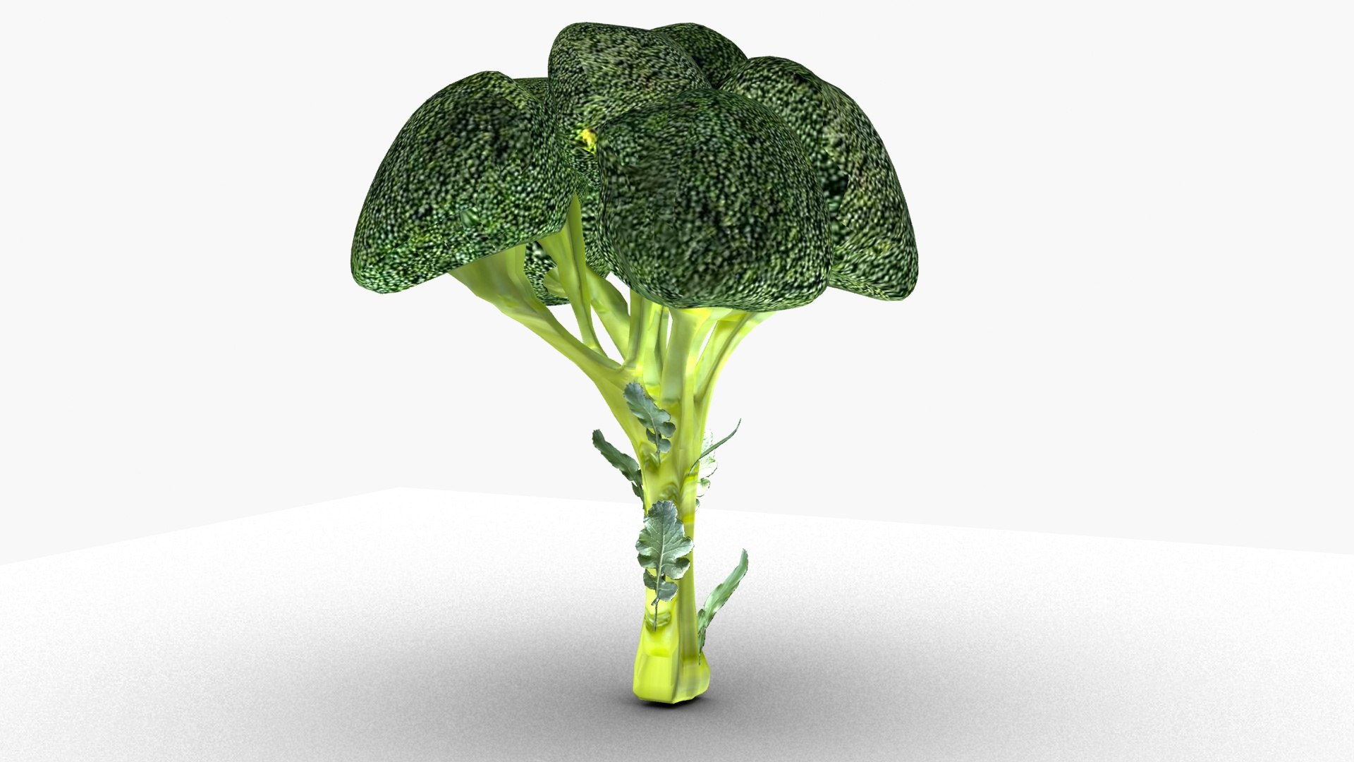 Broccoli Model - TurboSquid 2017620