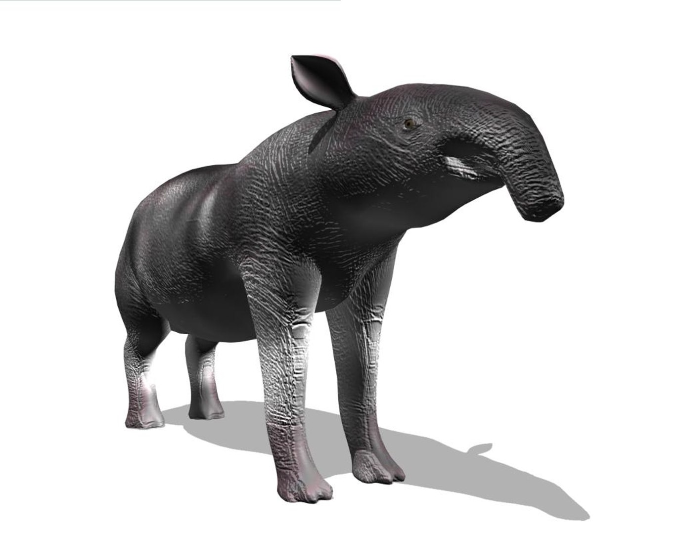 3d Prehistoric Tapir Megatapirus