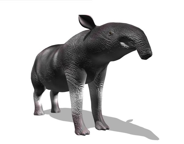 3d prehistoric tapir megatapirus