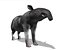 3d Prehistoric Tapir Megatapirus