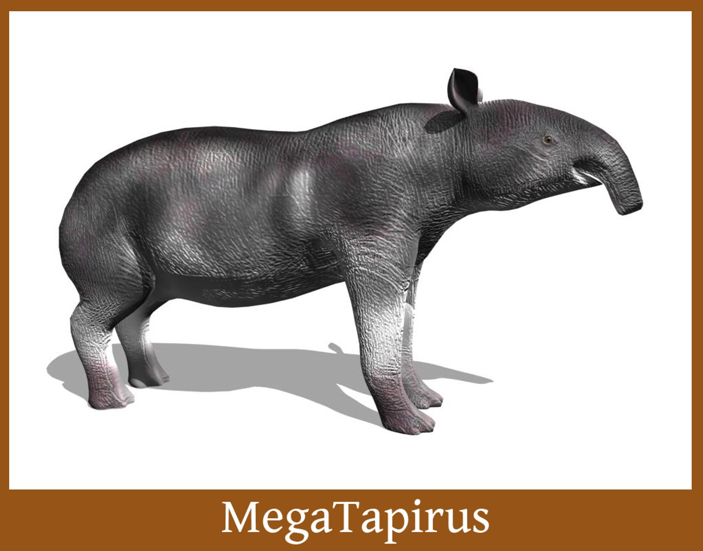 3d Prehistoric Tapir Megatapirus