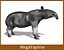 3d Prehistoric Tapir Megatapirus