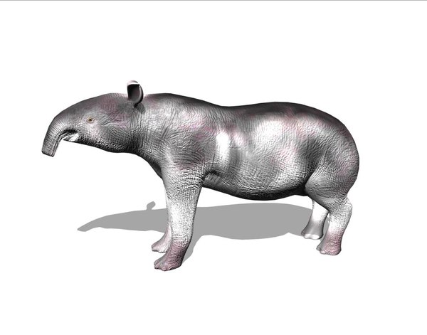 3d prehistoric tapir megatapirus