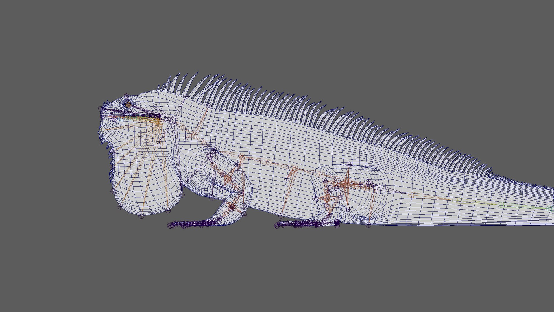 Iguana RIG 3D - TurboSquid 2234825