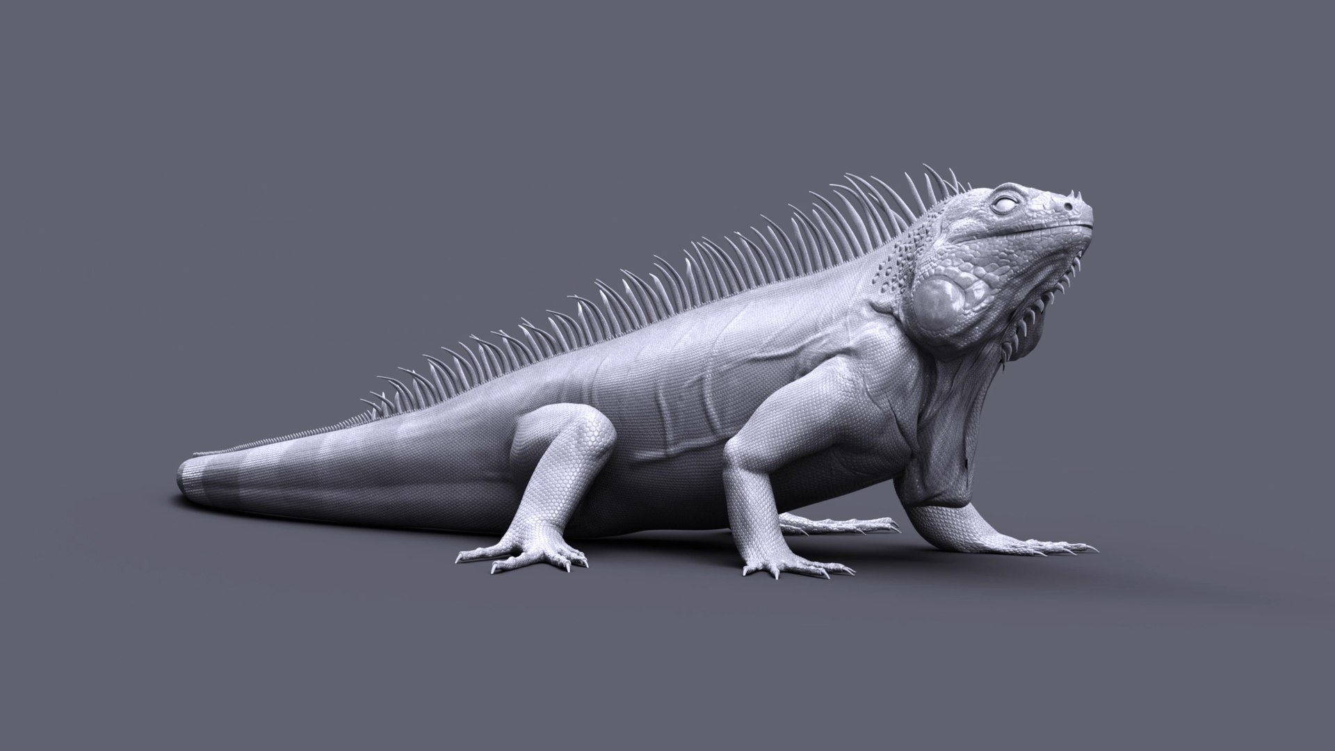 Iguana RIG 3D - TurboSquid 2234825
