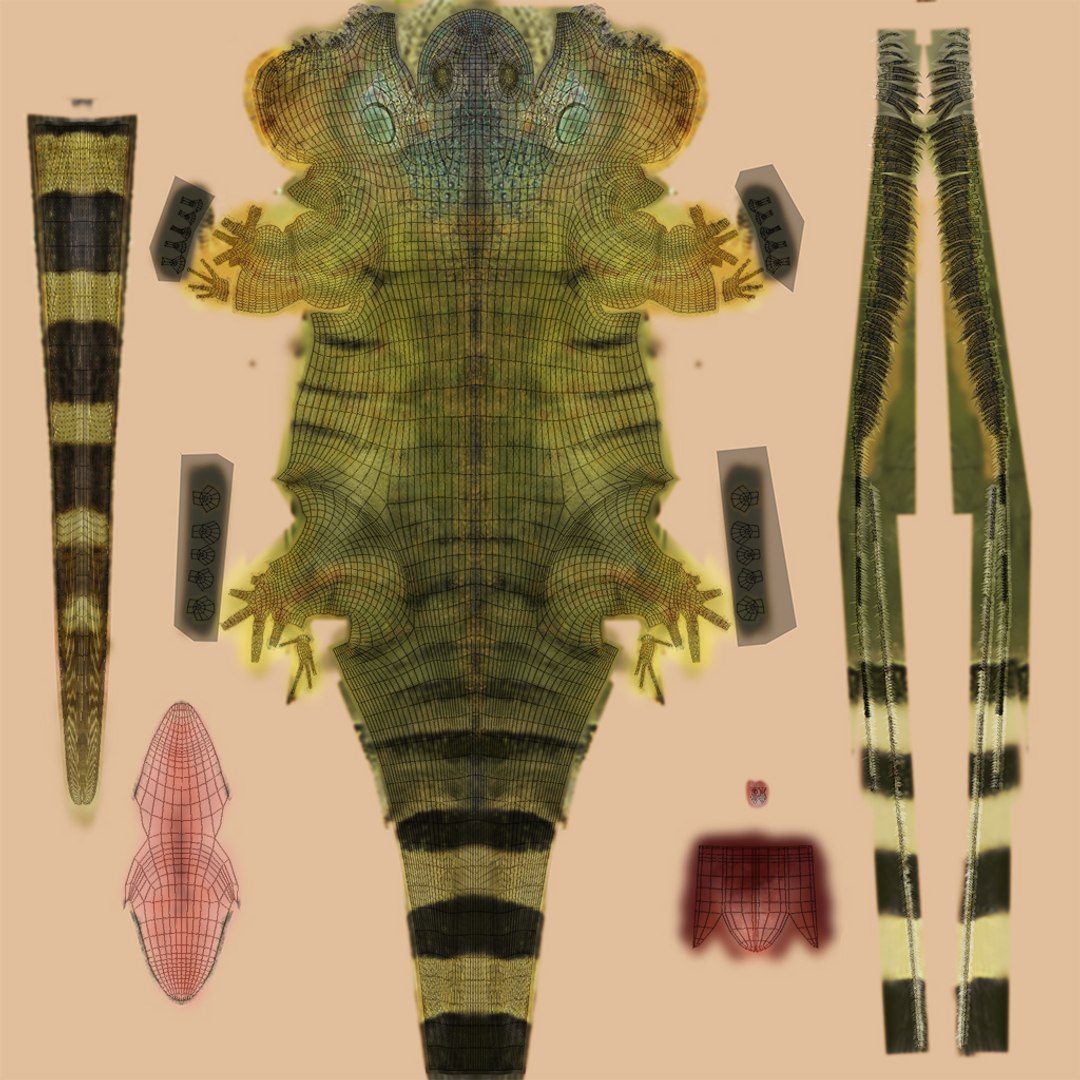 Iguana RIG 3D - TurboSquid 2234825