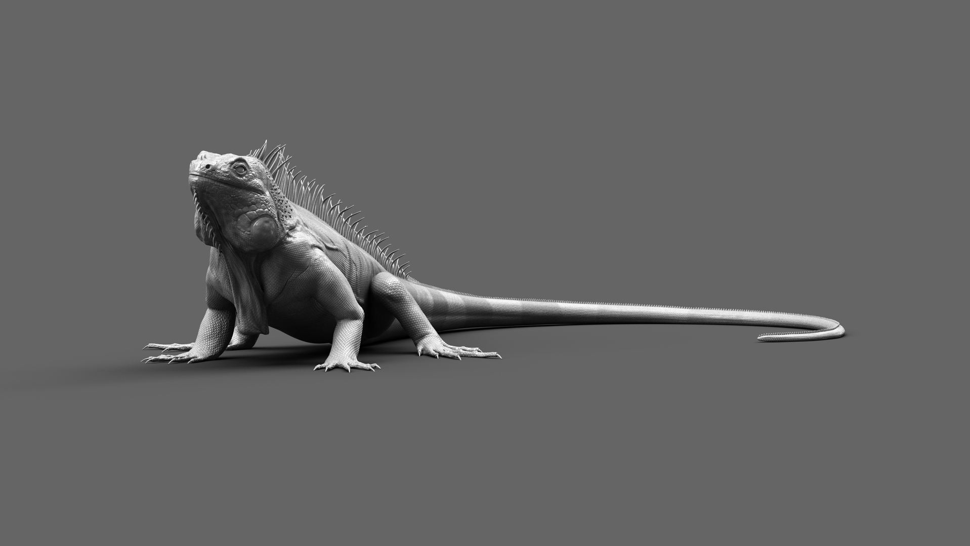 Iguana RIG 3D - TurboSquid 2234825