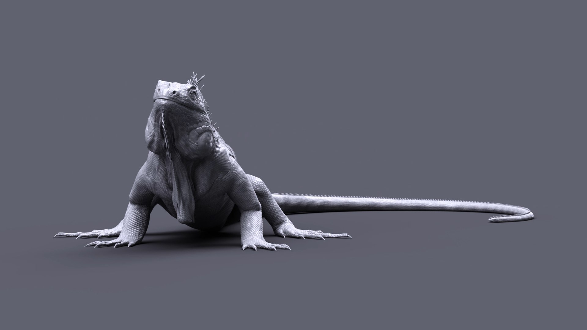 Iguana RIG 3D - TurboSquid 2234825