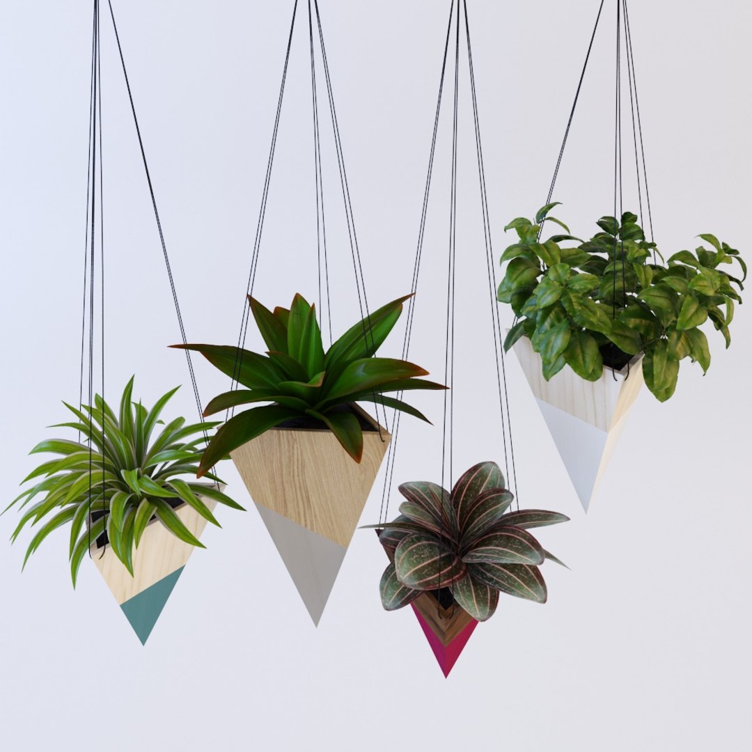 Hanging Plant Max