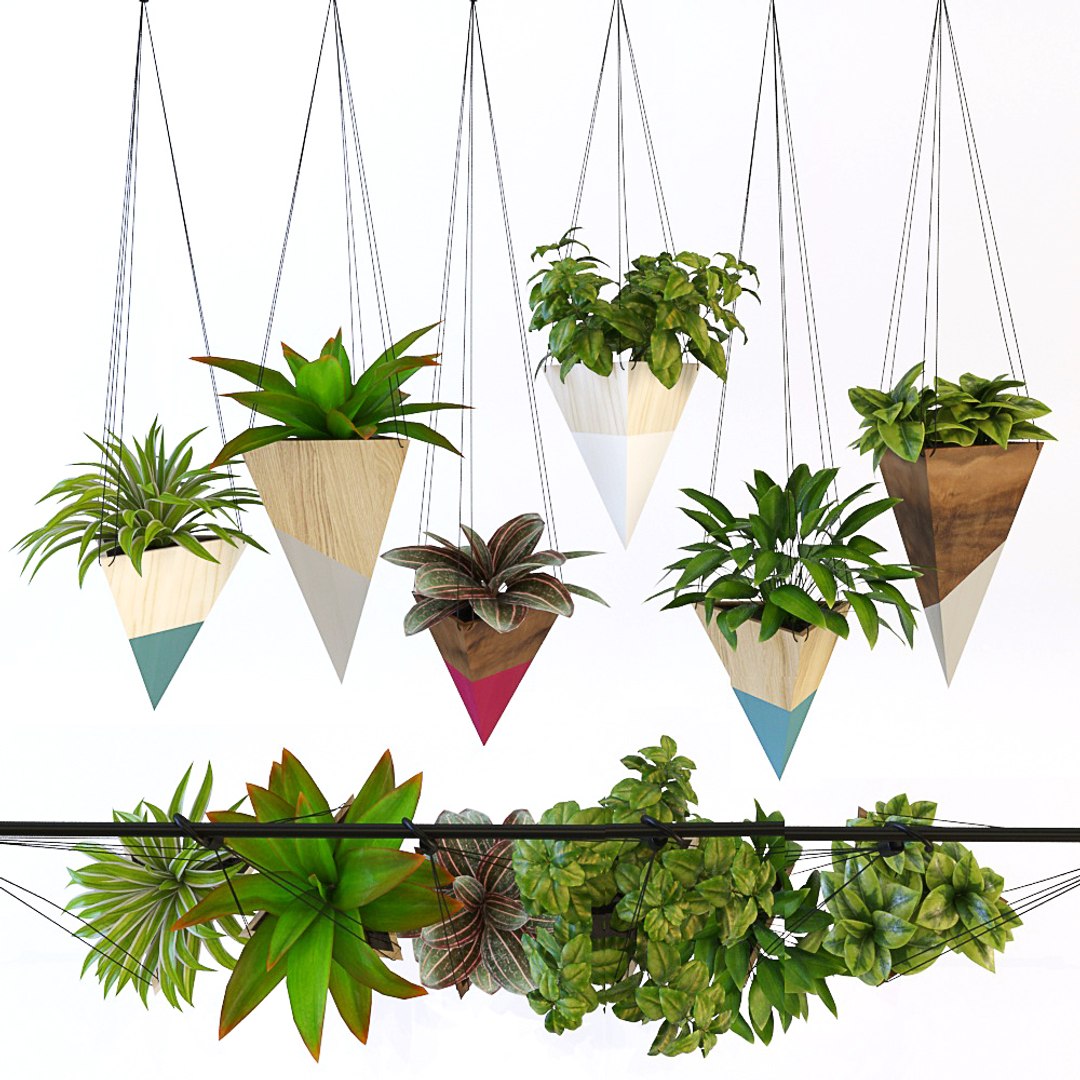 Hanging Plant Max