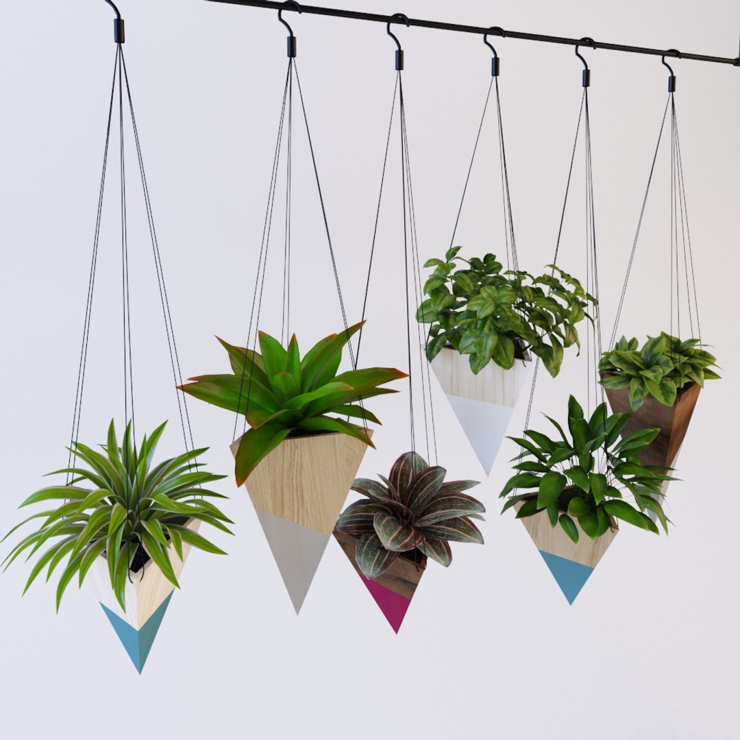 Hanging Plant Max