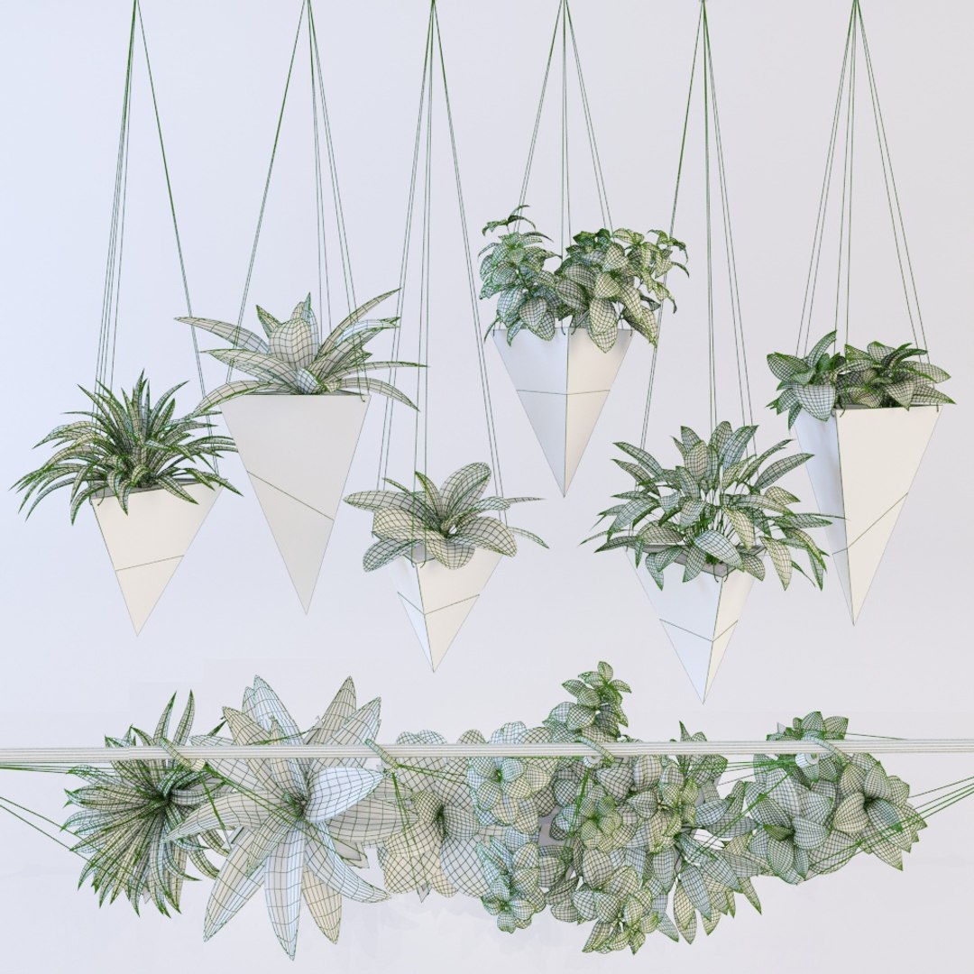Hanging Plant Max