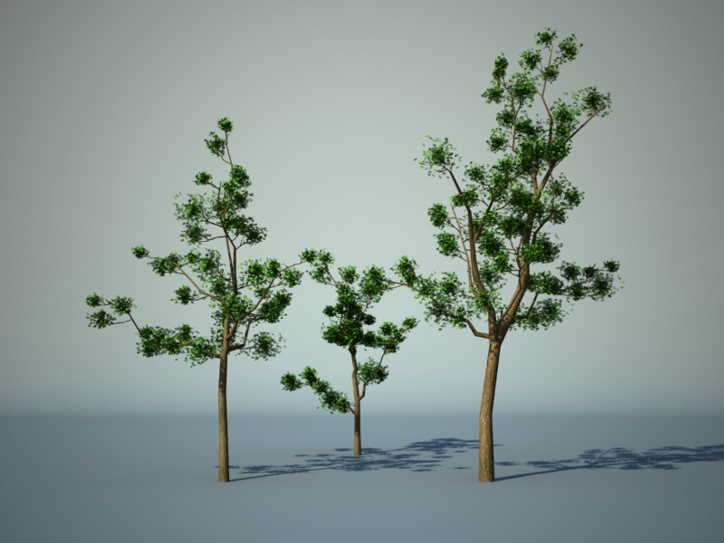 tree 3d model