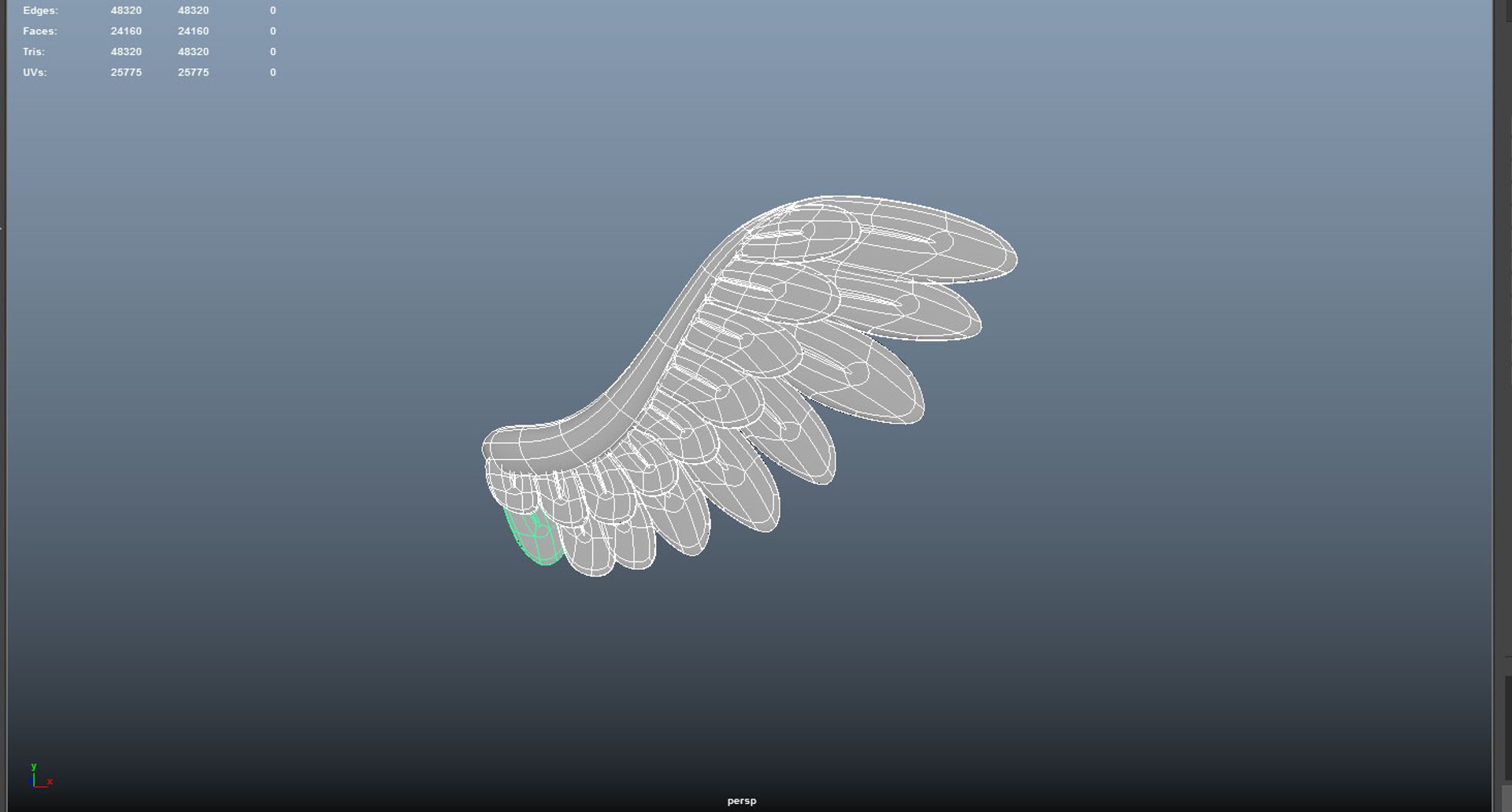 3d Model Of Wings