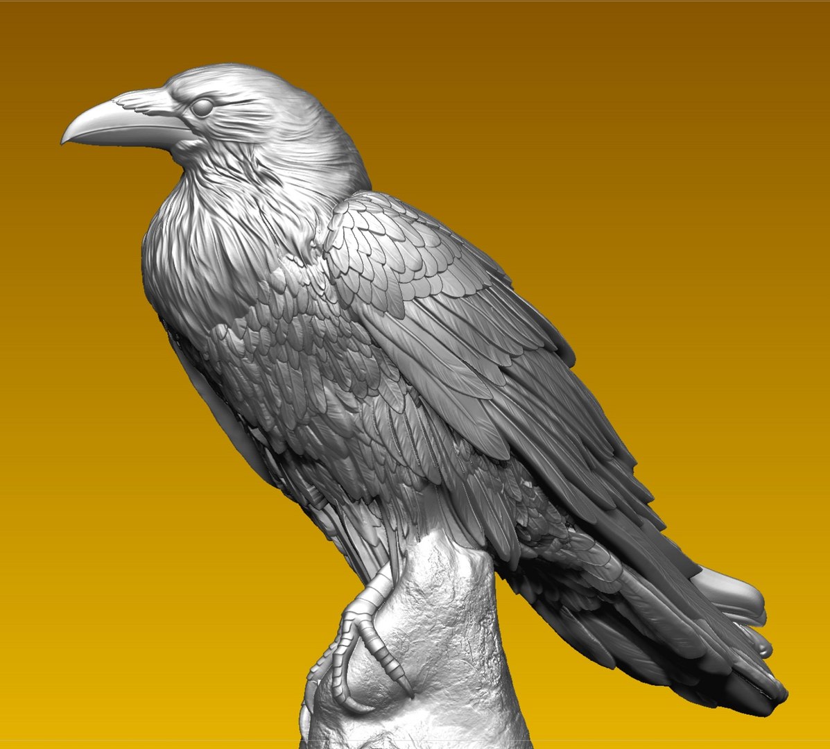 3D Raven Model - TurboSquid 2383960
