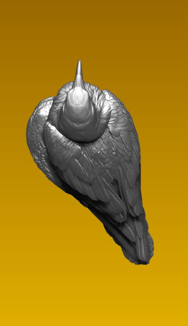 3D Raven Model - TurboSquid 2383960