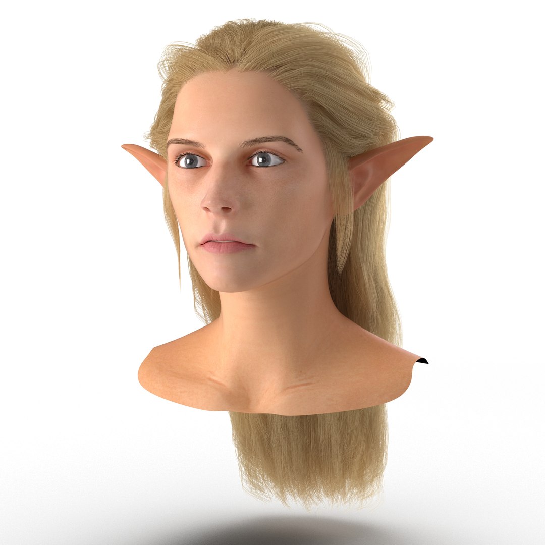 3d Model Of Female Elf Head Hair