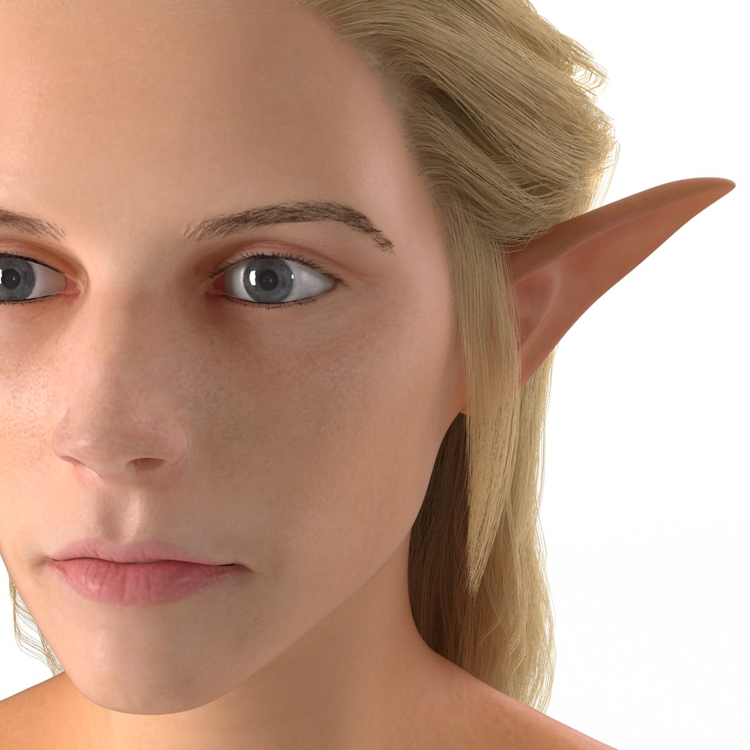 3d Model Of Female Elf Head Hair