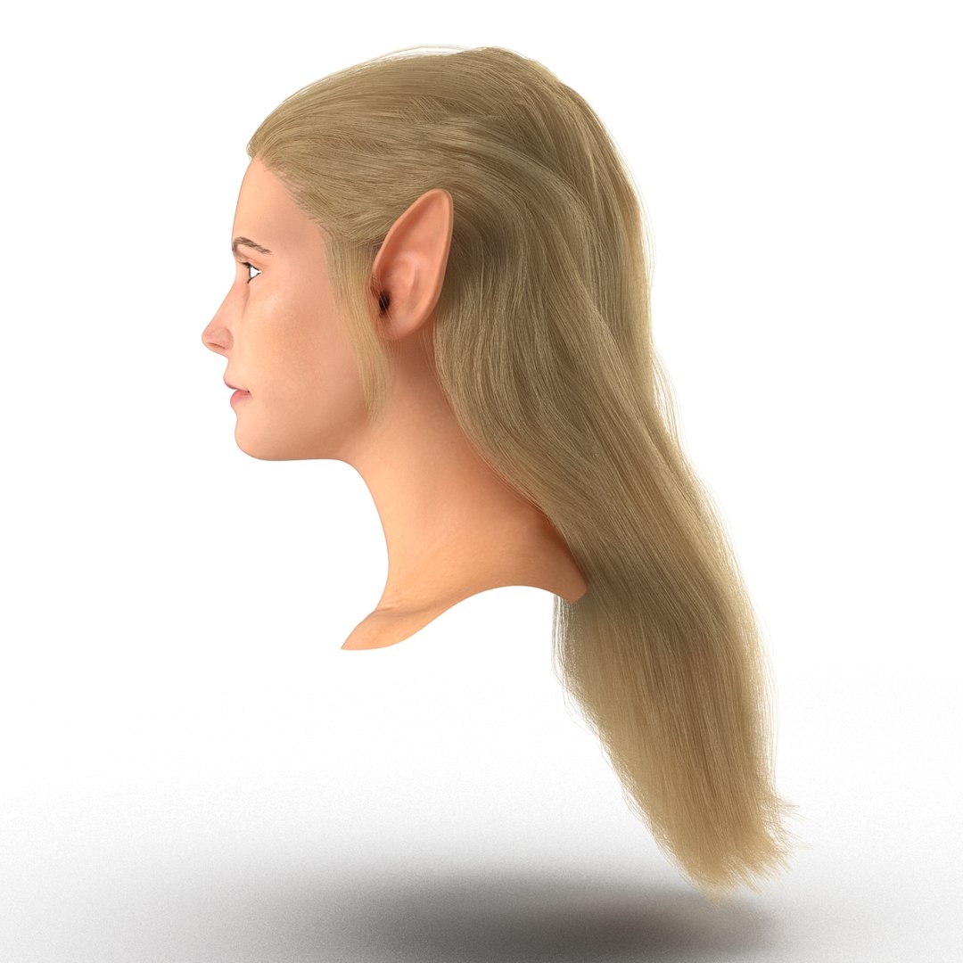 3d Model Of Female Elf Head Hair