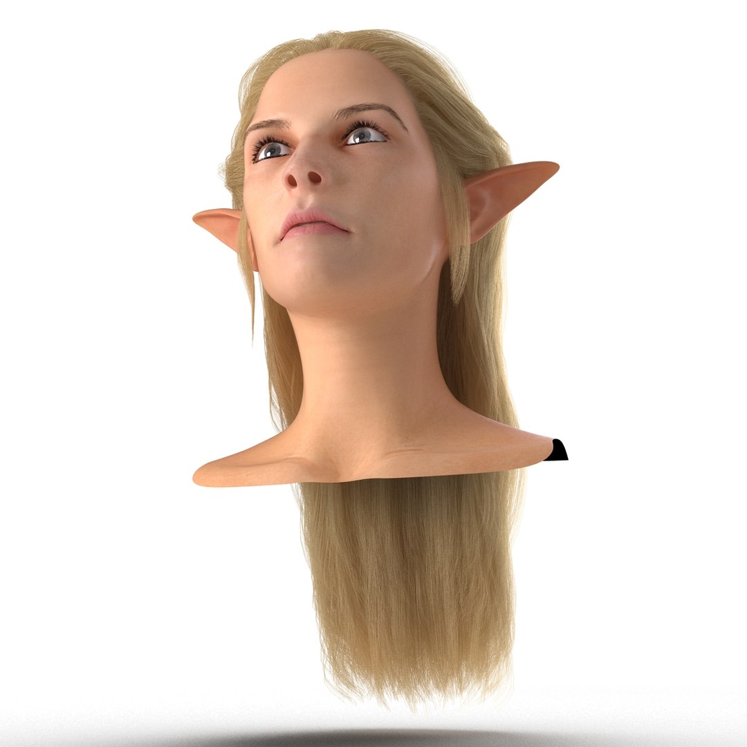 3d Model Of Female Elf Head Hair