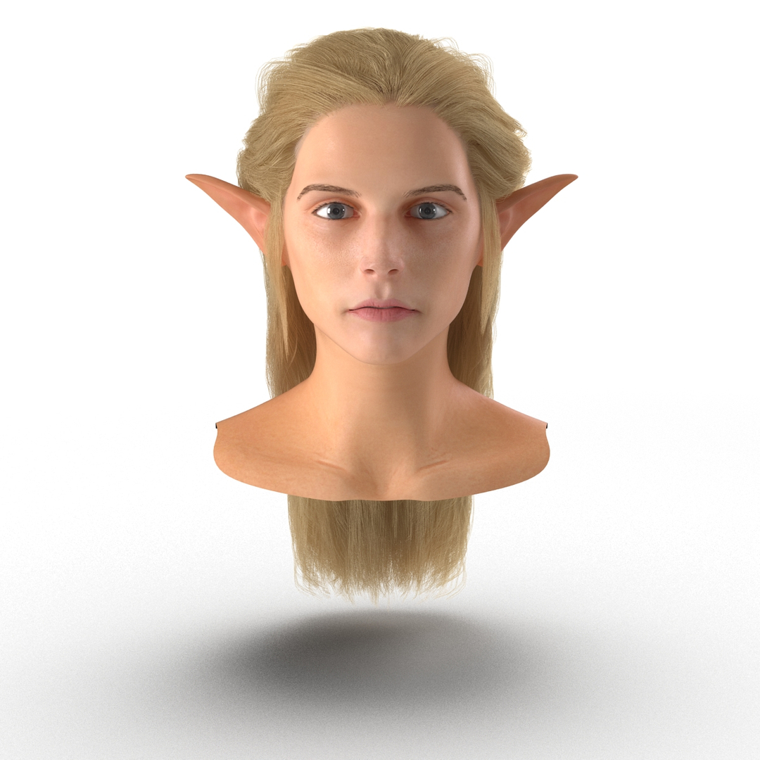 3d Model Of Female Elf Head Hair