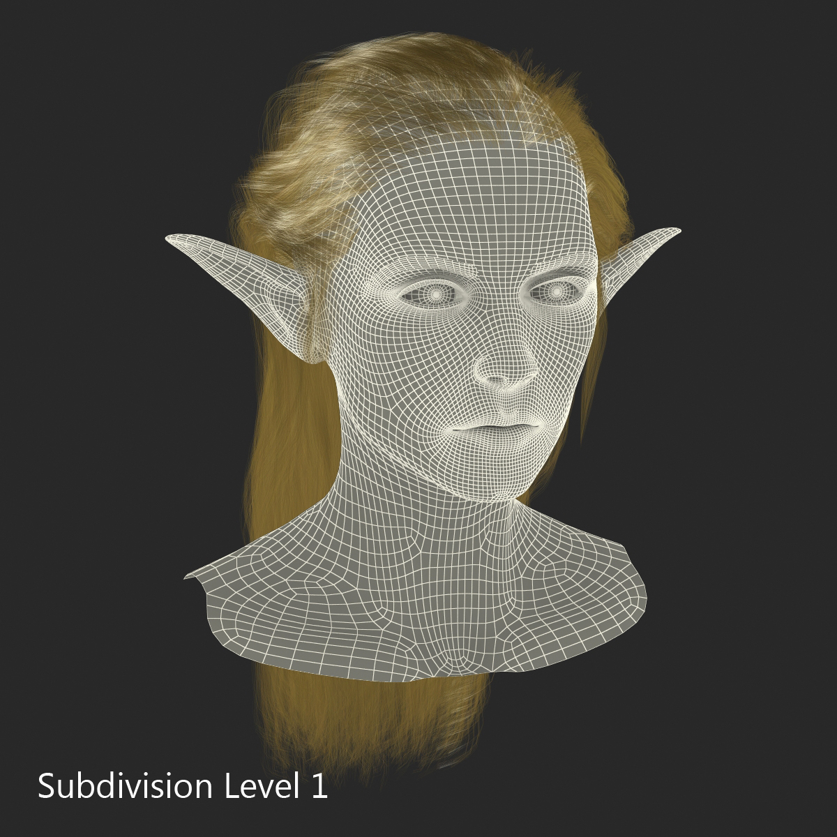 3d model of female elf head hair