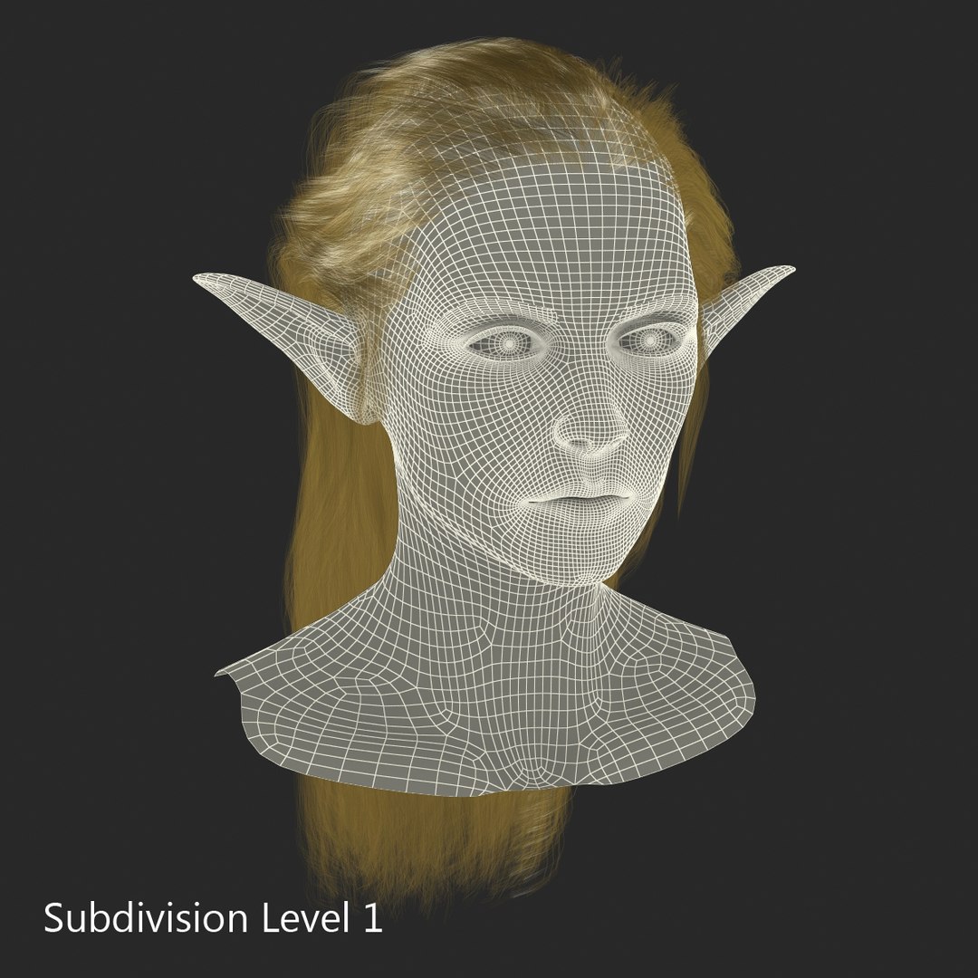 3d Model Of Female Elf Head Hair