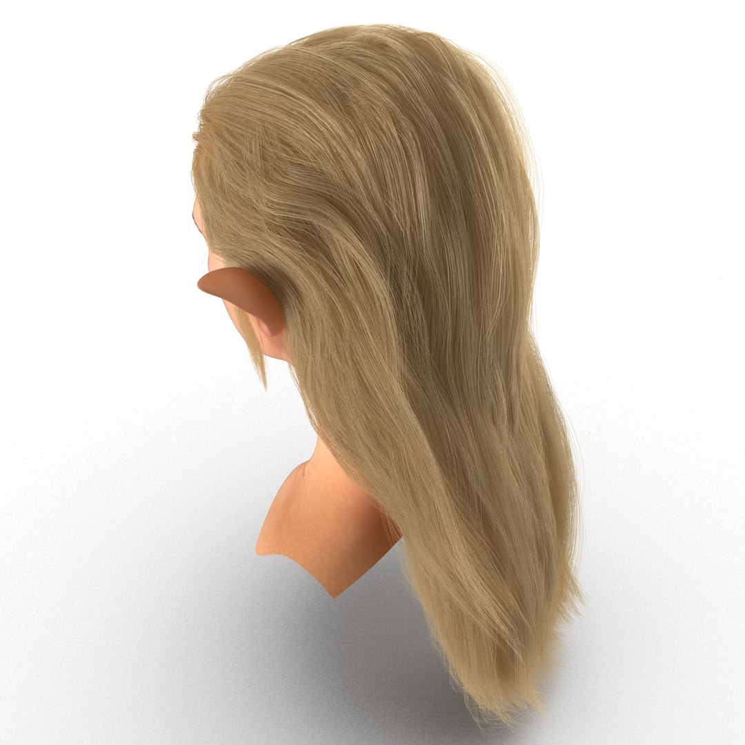 3d Model Of Female Elf Head Hair