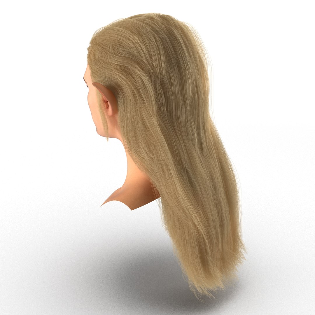3d Model Of Female Elf Head Hair