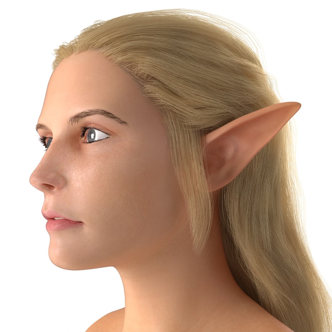 3d Model Of Female Elf Head Hair