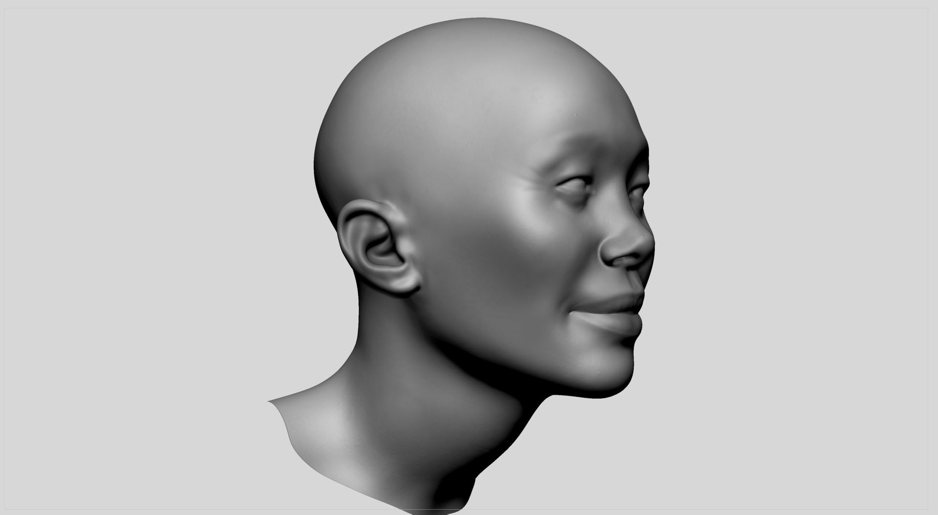 Female Head Anatomy 3D - TurboSquid 1701127