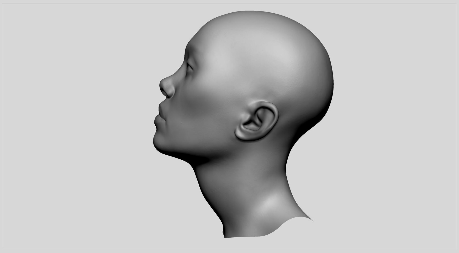 Female Head Anatomy 3D - TurboSquid 1701127