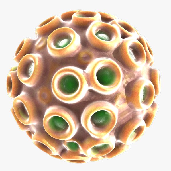 encephalitis virus 3d model