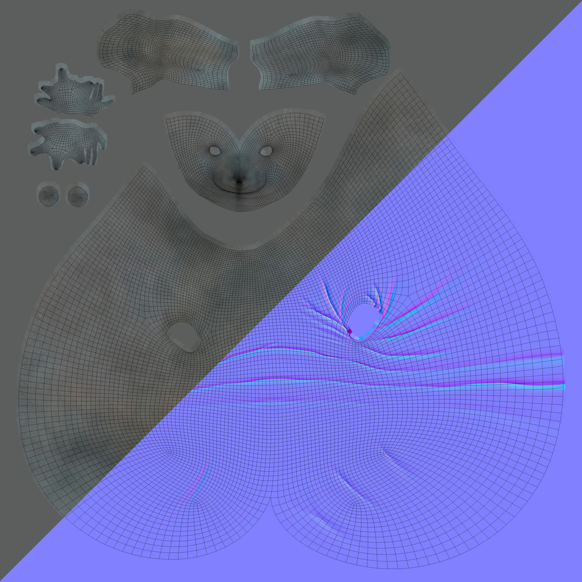 3d homunculus loxodontus