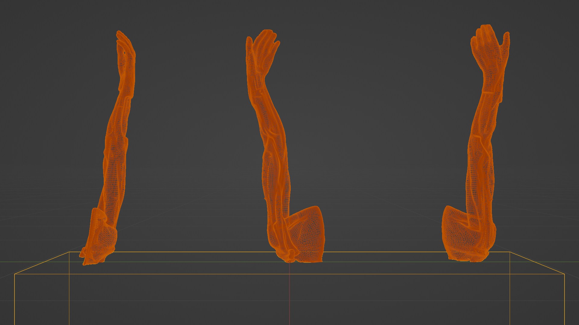 Anatomical Arm Model 3D Model - TurboSquid 2376151