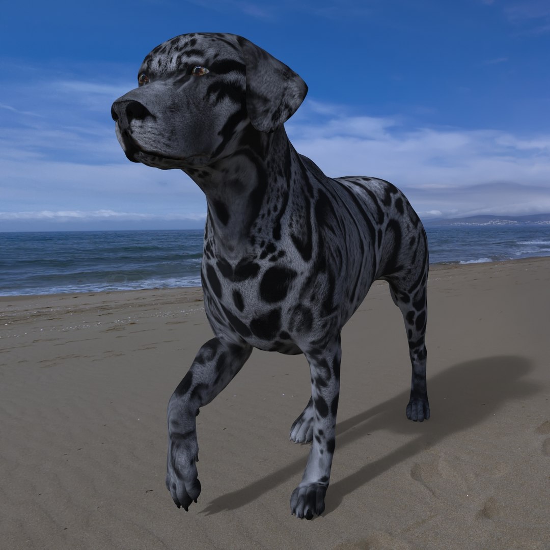 LAB-041 Dog Walking 3D - TurboSquid 1915418