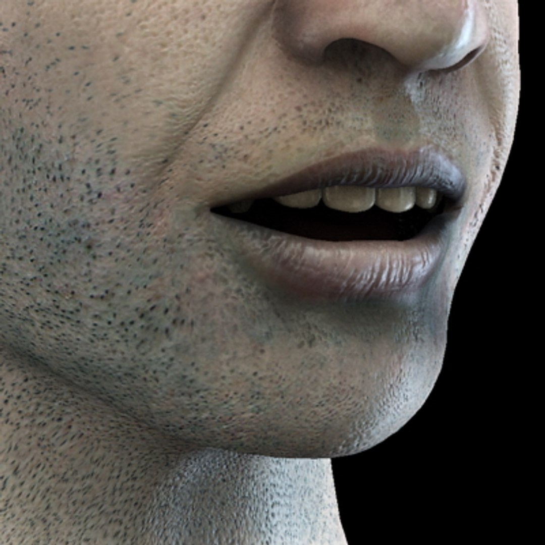 3d head jaws teeth model