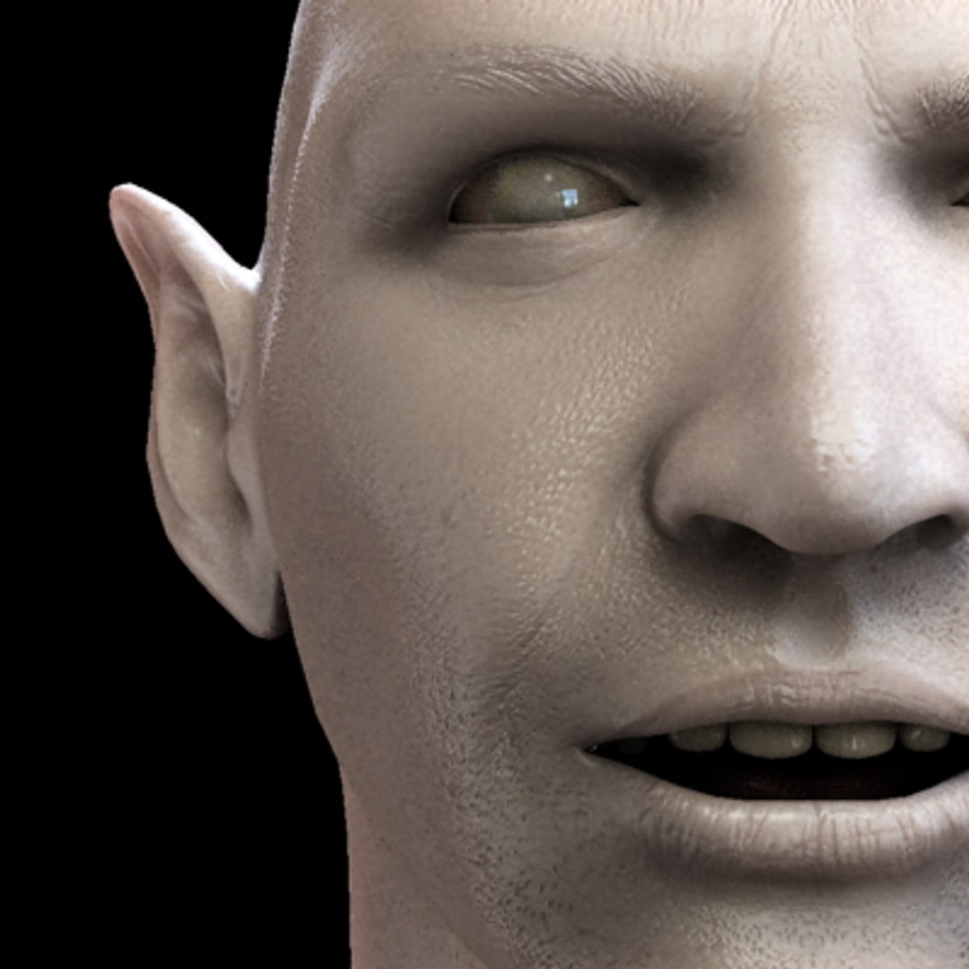 3d head jaws teeth model