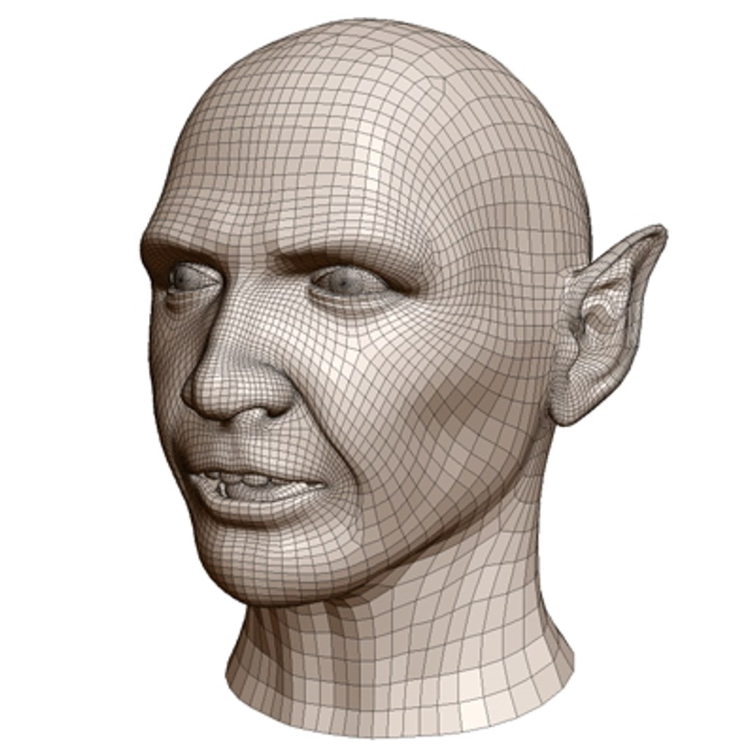 3d head jaws teeth model