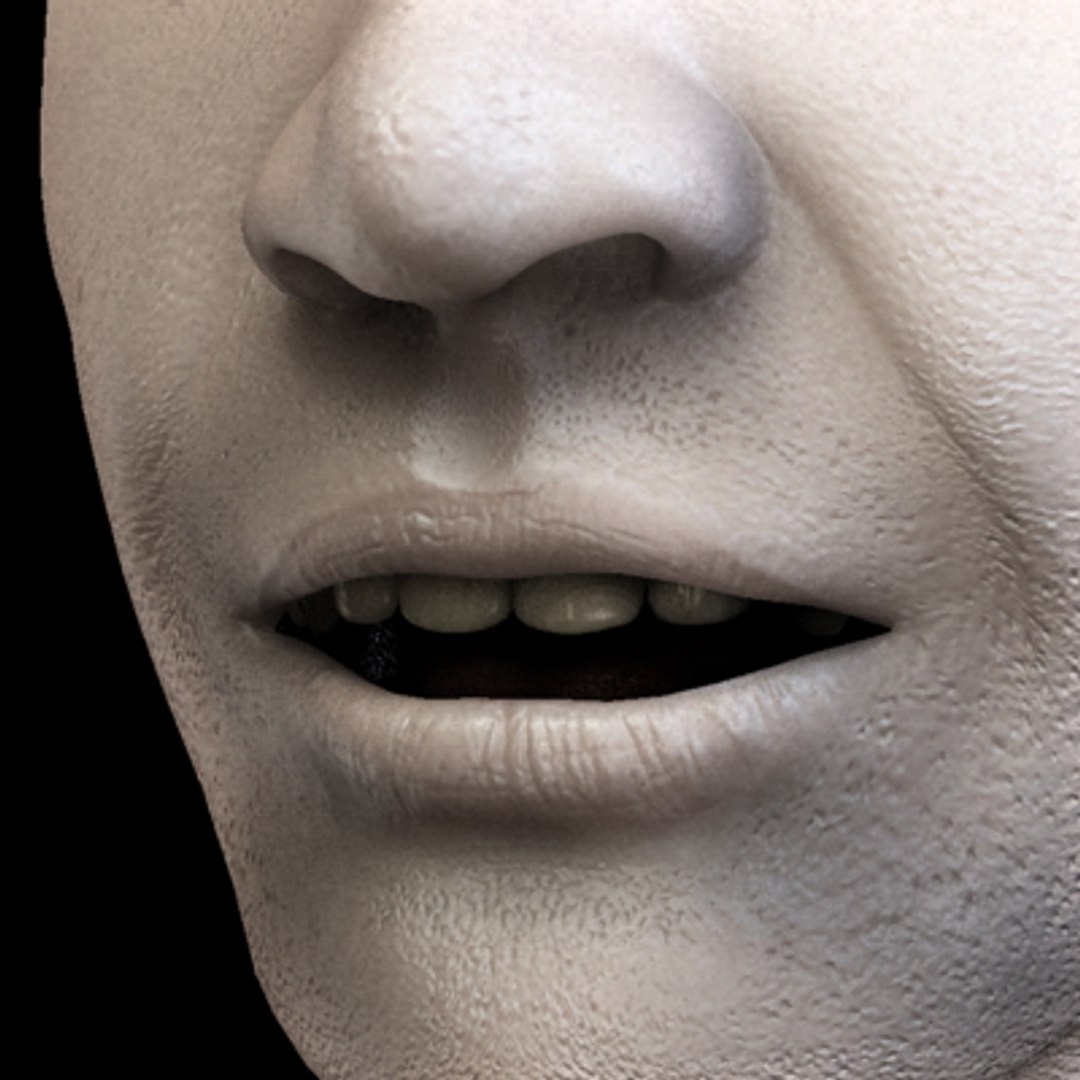 3d head jaws teeth model