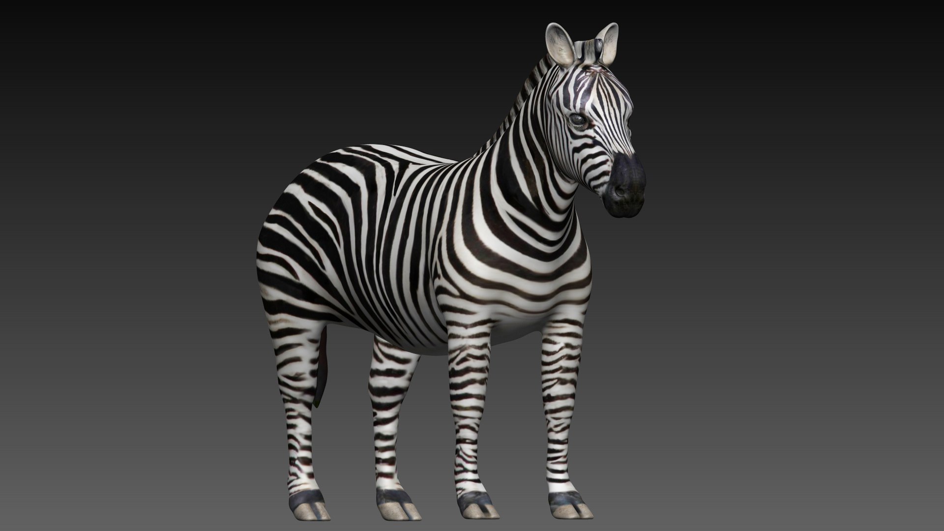 Fully Rigged Low Poly Zebra Model - TurboSquid 1748780