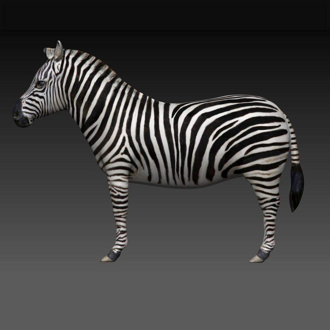 Fully Rigged Low Poly Zebra Model - TurboSquid 1748780