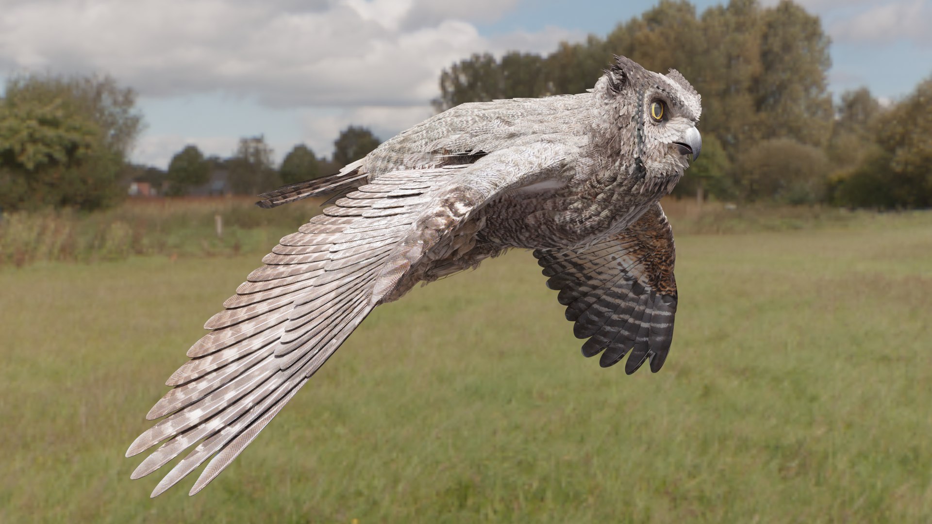 Great Horned Owl - Blender Model - TurboSquid 1954490