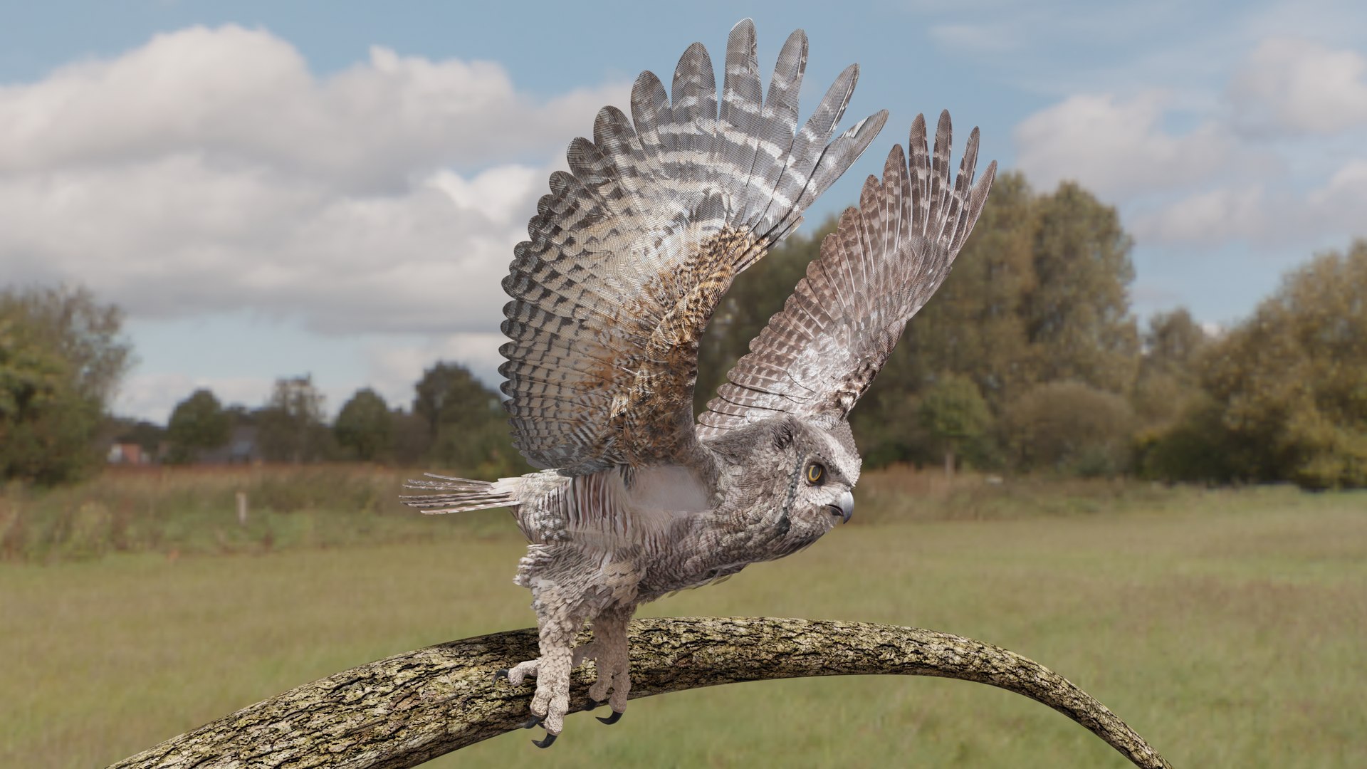 Great Horned Owl - Blender model - TurboSquid 1954490