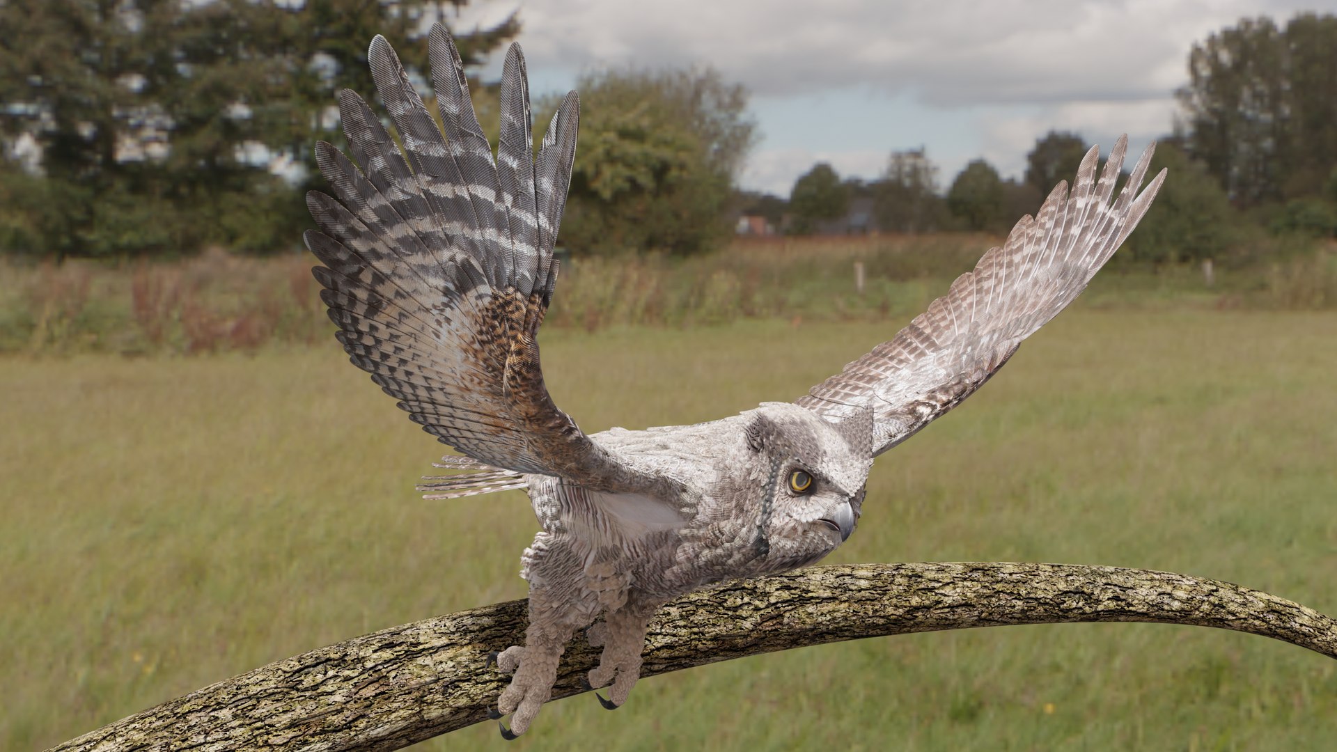 Great Horned Owl - Blender model - TurboSquid 1954490