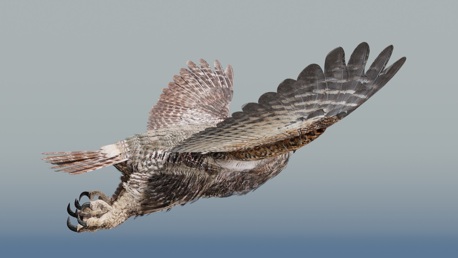 Great Horned Owl - Blender model - TurboSquid 1954490