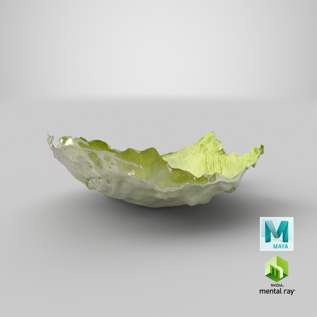 Lettuce Leaf 06 3D model - TurboSquid 1841278