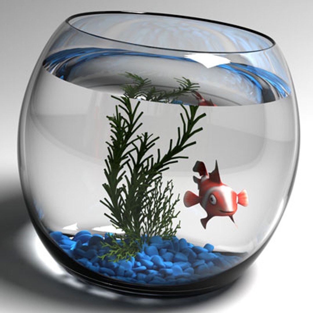 Fish Aquarium 3d Model